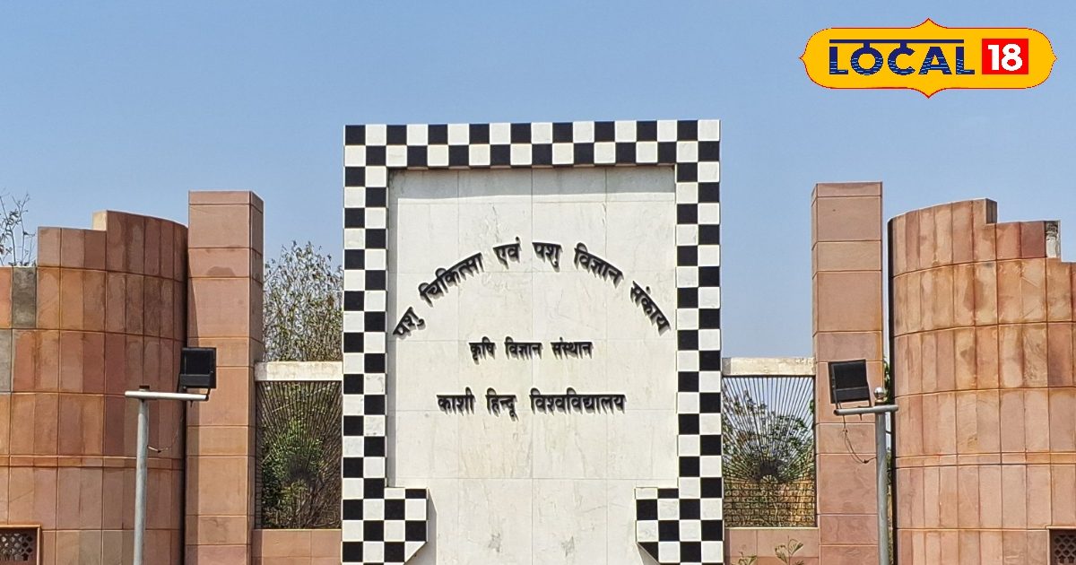 बीएचयू में मौका... नीट क्वालीफाई करने वालों के लिए नया कोर्स शुरू ...