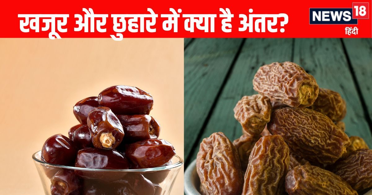 Khajoor Vs Chhuhara What is difference: खजूर और छुहारे में क्या है अंतर ...