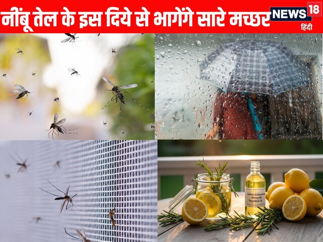 How to get rid of mosquitoes with lemon mustard oil Diya: मच्छरों से ...