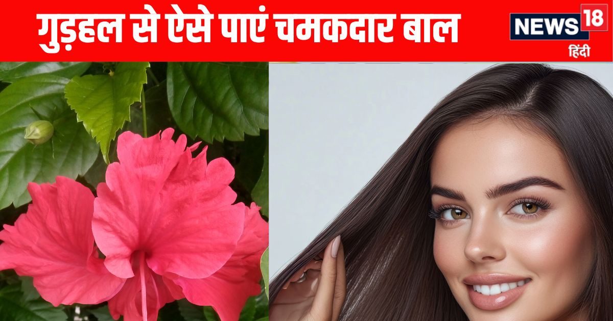 Gudhal flower Benefits for Hair: गुड़हल के फूल से बालों को बनाएं शाइनी ...