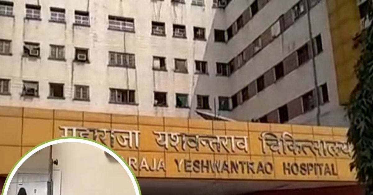 Indore Shocking News: इंदौर के MY हॉस्पिटल में चूहों का आतंक, मासूम की ...