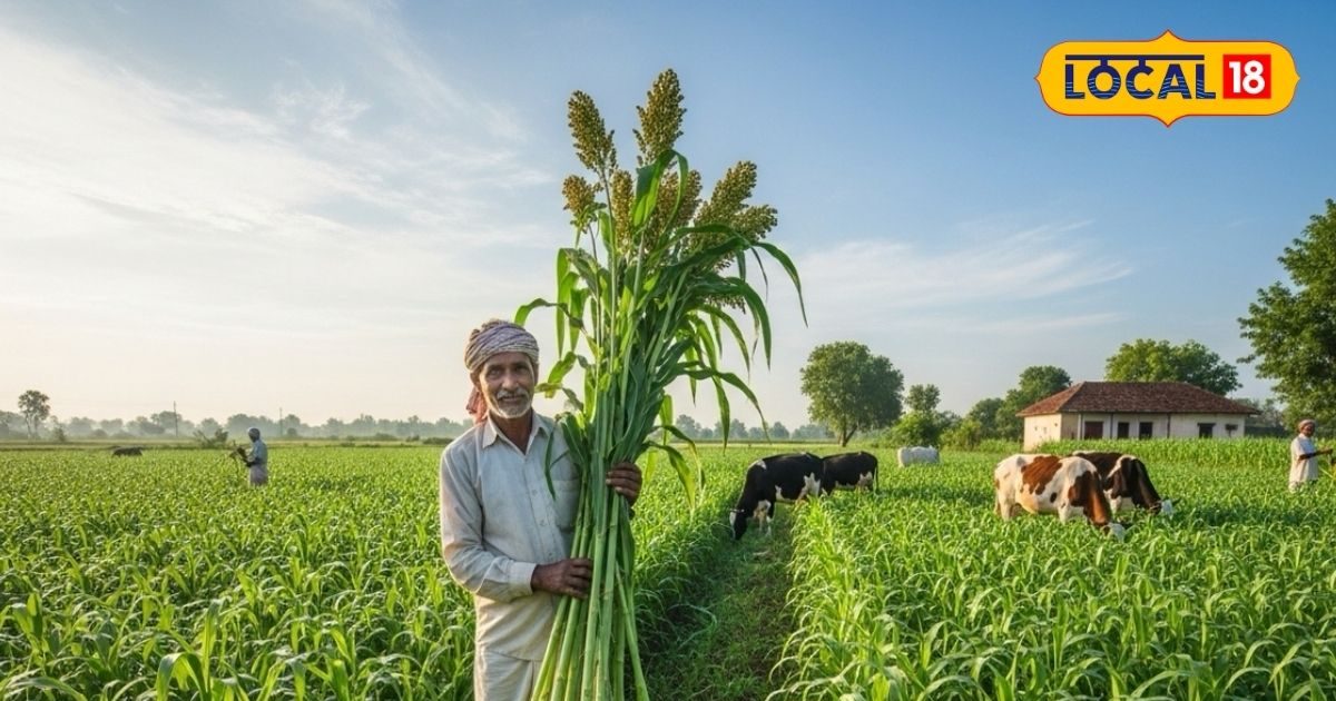 Agriculture: खाली खेत में लगा दीजिए ये फसल, 1 बार बोएं, 3 बार काटें ...