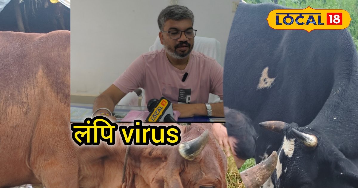 Lumpy Virus: पशुओं में फैल रहा जानलेवा रोग, वायरस से बचाव के लिए ...