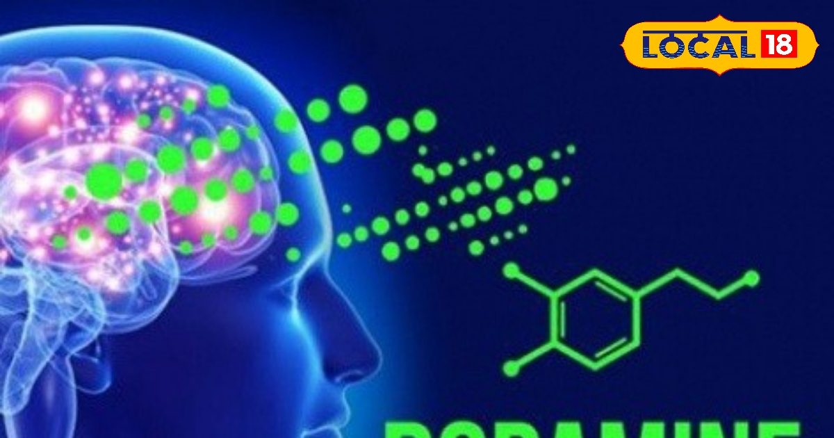 Dopamine is playing with you now, know what the expert gave here some important information ...