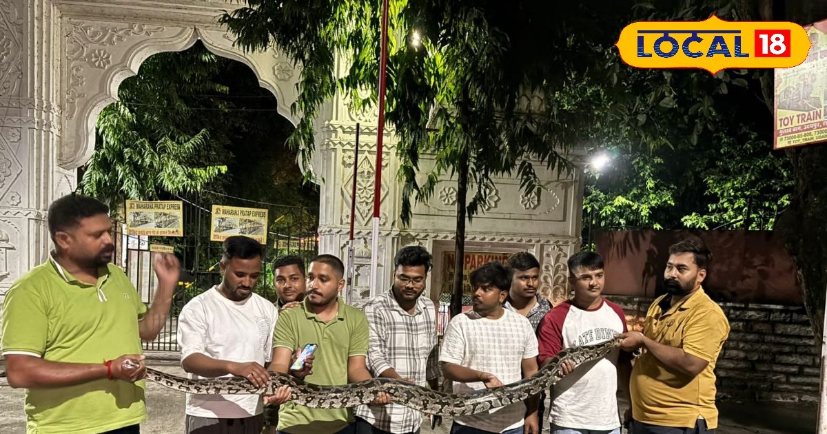 "A Leisure Stroll in Gulab Bagh Could Have Turned Risky — 11-Foot ...