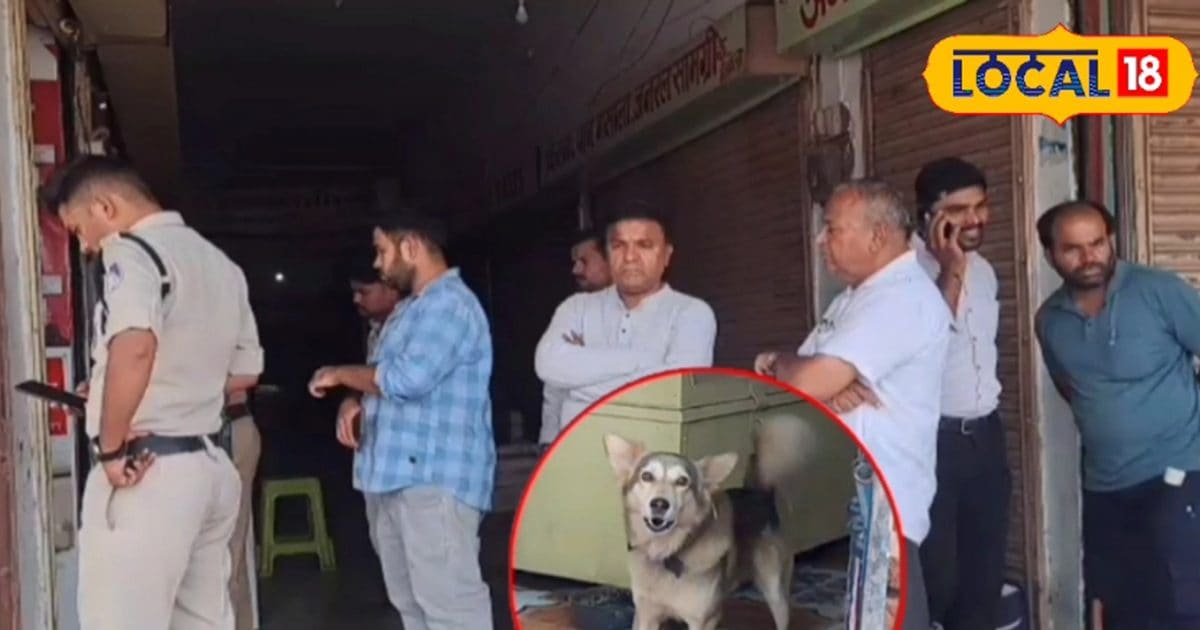 कुत्ते ने लुटने से बचाई लाखों की कार...कई दुकानें, ताने मारने वाली ...