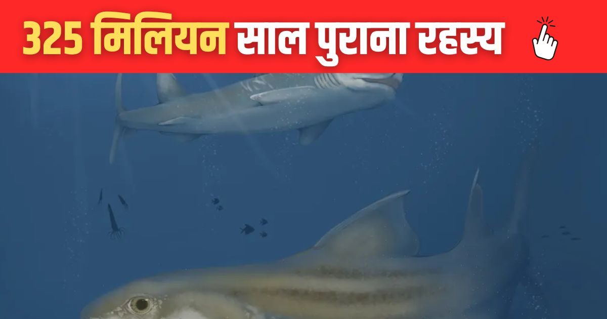 Paleontology Discovery | Two New Shark Species Fossils Mammoth Cave ...