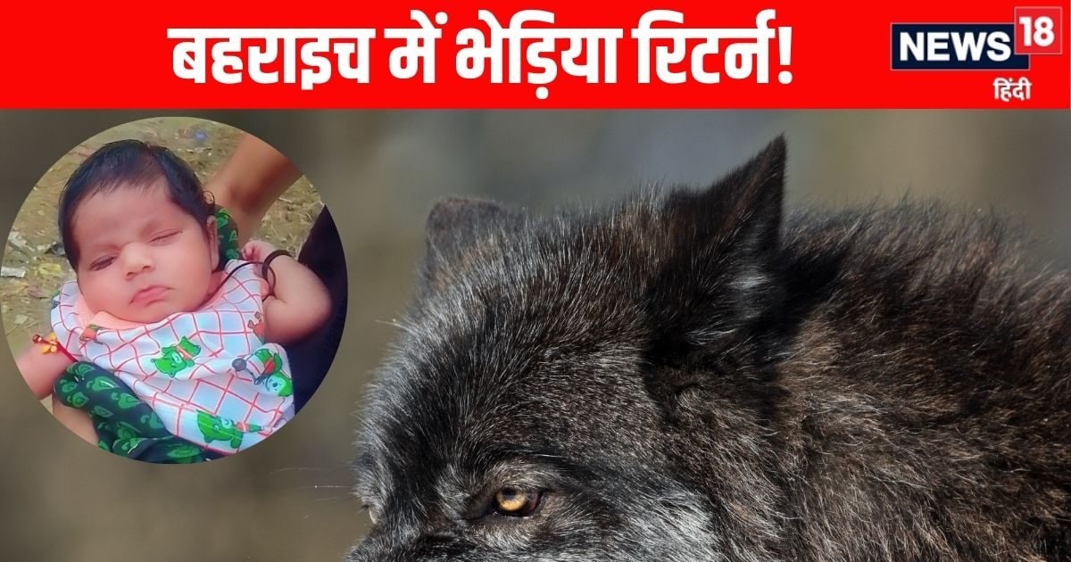 Bahraich Bhediya Attack: बहराइच में फिर लौटा भेड़िया! मां के साथ सो रही ...