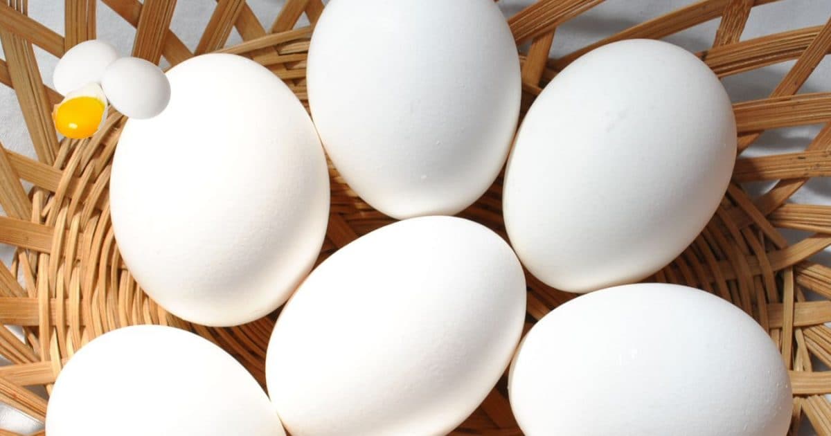 4 tips to Check egg freshness। अंडा फ्रेश है या खराब कैसे पहचानें आसान ...