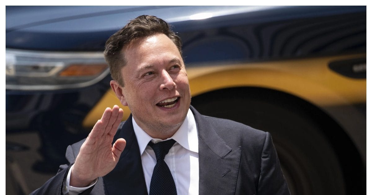 Elon Musk Is Hiring For new AI company Macrohard know Everything About This New Venture - OpenAI ...