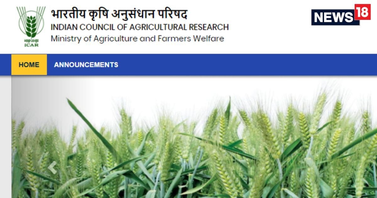 ICAR Counselling 2025 : आईसीएआर काउंसलिंग के लिए रजिस्ट्रेशन शुरू, देखें शेड्यूल सहित पूरा डिटेल ...