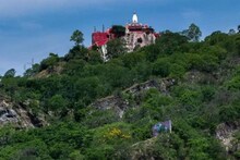 Mansa Devi News in Hindi, Mansa Devi Latest News, Mansa Devi News