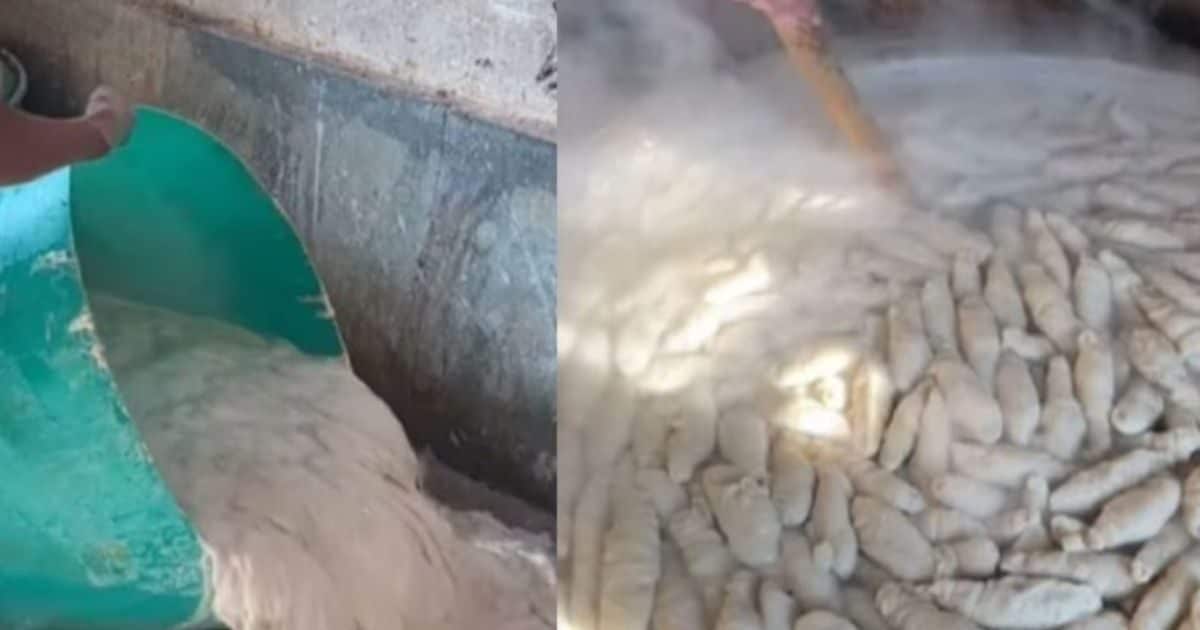 Soya Chap Factory Video: आखिर कैसे बनता है सोया चाप? देखते ही हो जाएगी ...