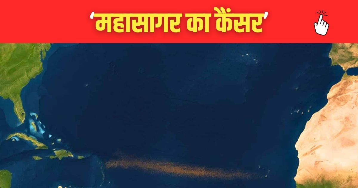 Great Atlantic Sargassum Belt 8850 Kilometers Long Structure Stun ...