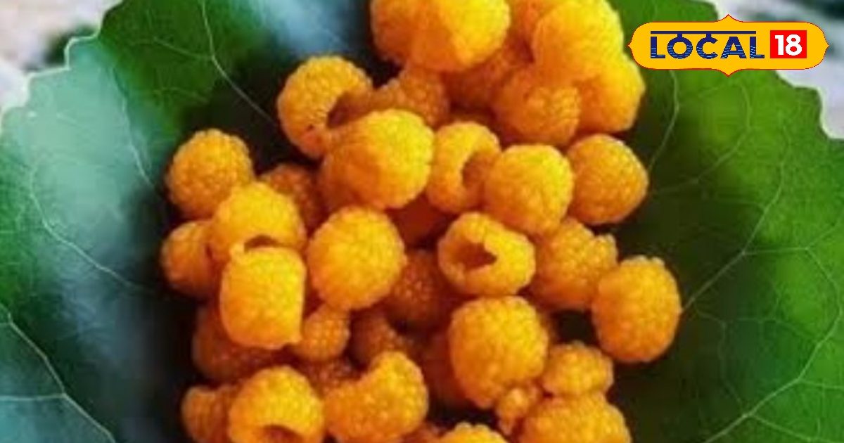 Hilasu (Aakhe), a naturally occurring fruit found in Mandi district and ...