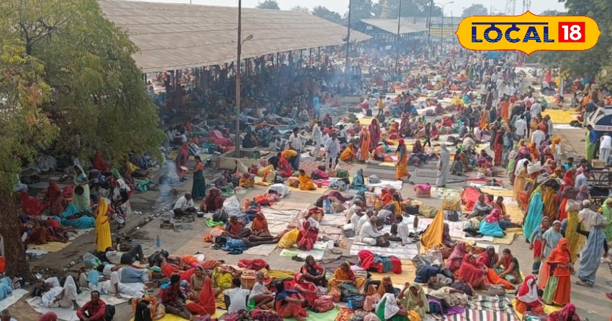 Narmada Yatra: 2025 की पहली नर्मदा लघु पंचकोसी यात्रा इस दिन से, नाव से ...