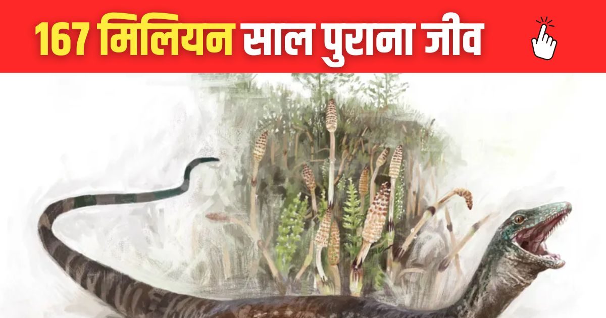 Mysterious Creature Half lizard Half snake 167 million-year-old Fossil ...