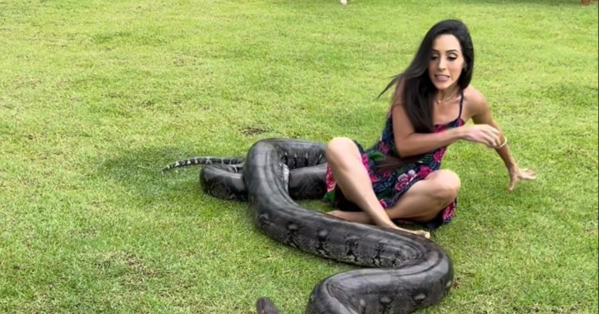 जमीन पर लेटा था दैत्याकार सांप, अचानक पास गई लड़की ने जैसे छुआ, कर दिया ...