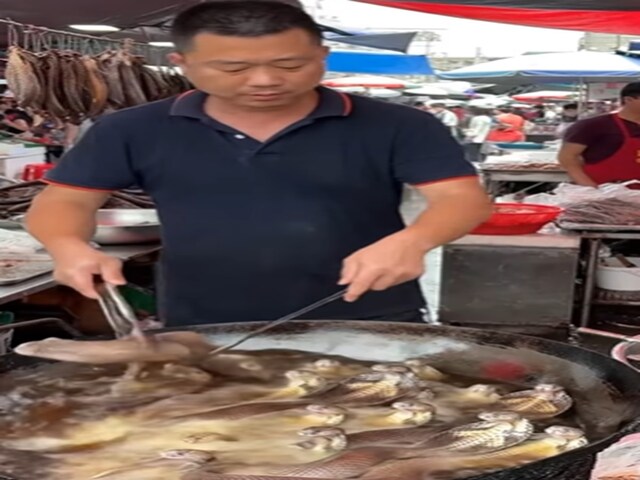 Crispy Fried Cobra: ना लगाया बेसन- ना मसाला, तेल में तल दिए गर्मागर्म ...