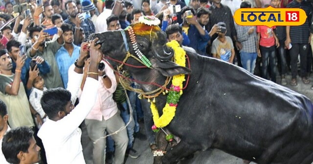 Sadar Festival Hyderabad Cultural Heritage & History - News18 हिंदी