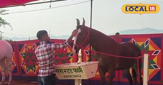 Pushkar Mela 2025 | Nagina Horse | One Crore Horse | Pushkar Fair News ...