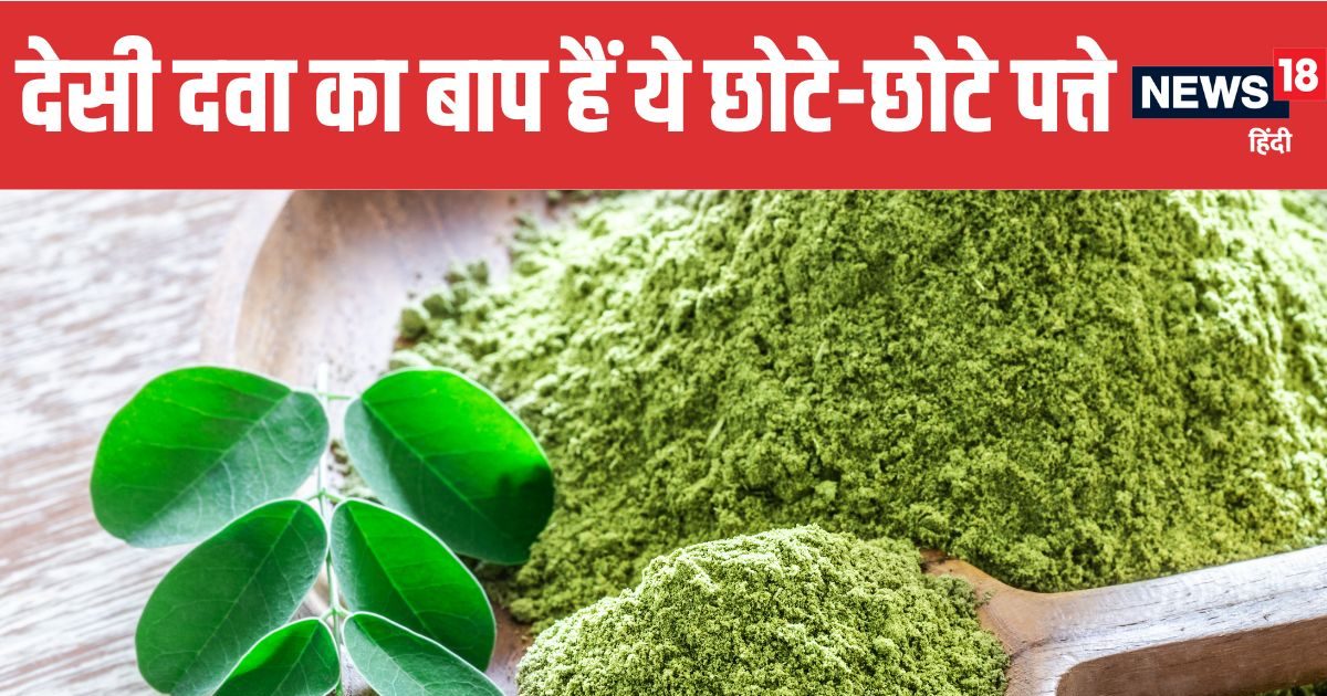 Health Benefits of Moringa Leaf Powder | मोरिंगा पत्तों के पाउडर के ...