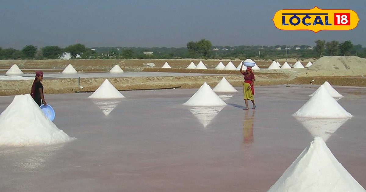 Nagaur Salt Industry Crisis: Unseasonal Rain Hits Workers’ Livelihood