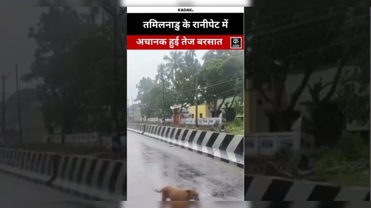 Tamil Nadu Rain Alert: रानीपेट पानी-पानी, सड़कों पर जलभराव | #shorts # ...