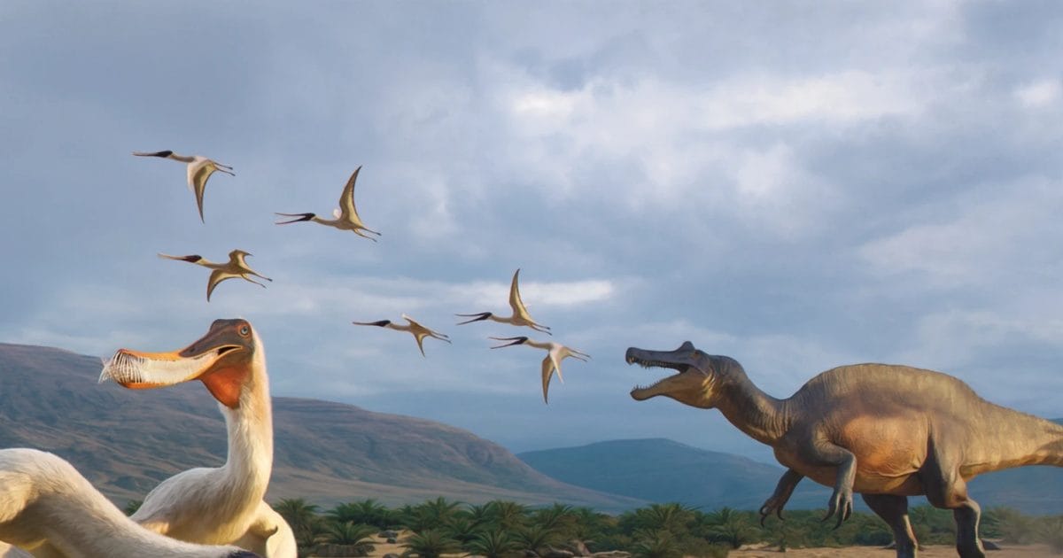 110 Million Years Old Dinosaur Vomit Reveals Flying Beast Hidden Inside ...