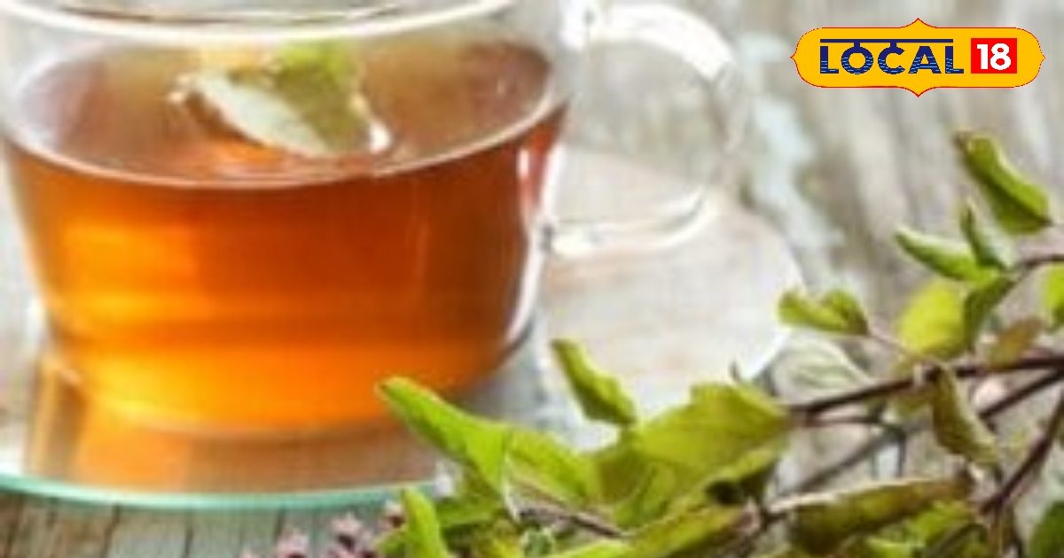 Drinking basil tea daily offers these 7 surprising health benefits ...
