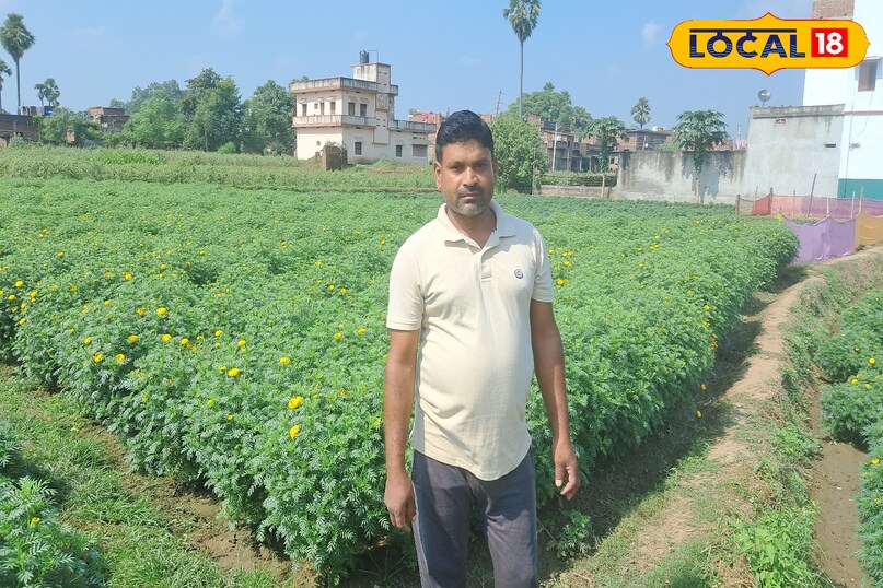 He cultivates tennis ball marigold flowers twice a year and earns Rs 5 ...