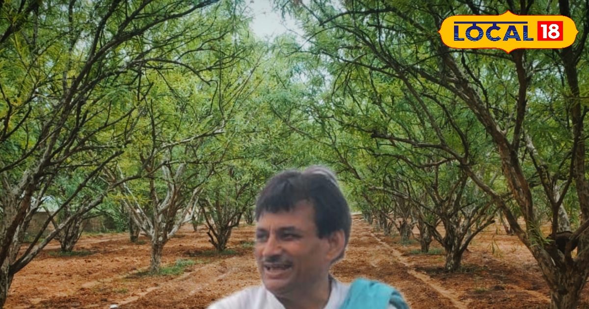 Agriculture News | Amla Farming | Retired Officer Success | Organic ...
