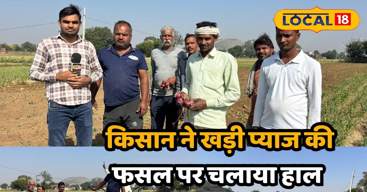 Alwar onion market | Onion price drop | Farmers protest Alwar | Bambora ...