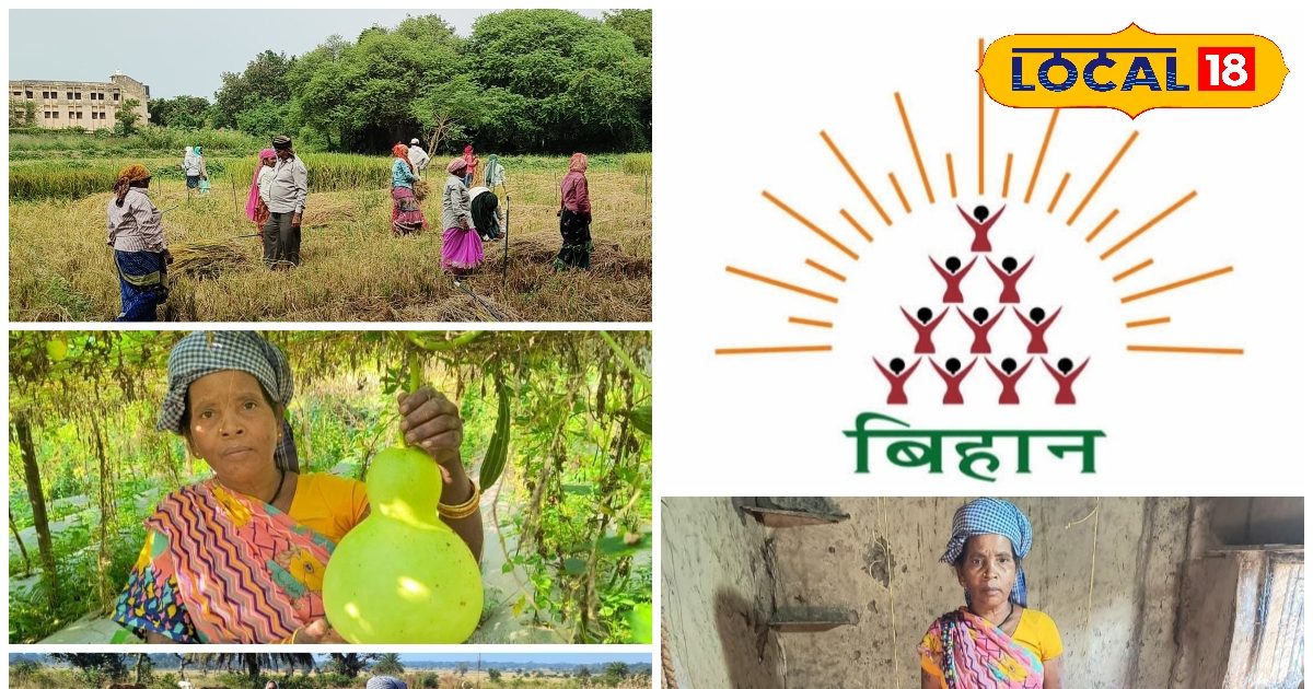 Bihaan Yojana: बिहान योजना ने बदली बुटकी नाग की तकदीर, मुर्गी समेत बकरी ...