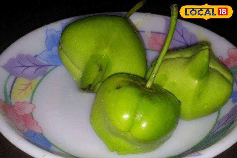 कनेर का फल: चूहे ऐसे रफूचक्कर कि दिखेंगे भी नहीं! बिना ज़हर-बिना खर्च ...