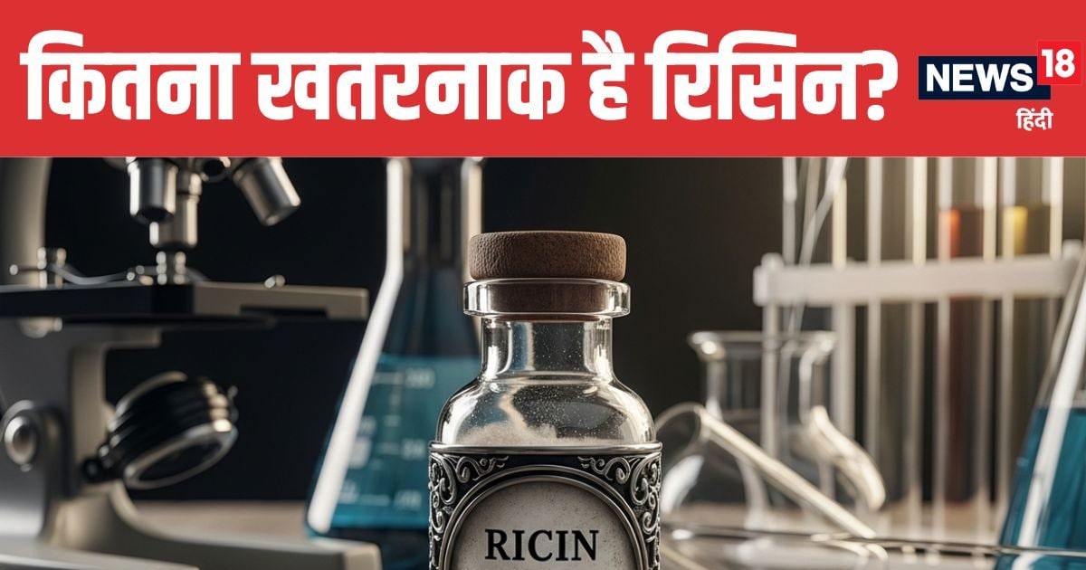Ricin Poisoning Explained Deadly Castor Seed Toxin Found by Gujarat ATS ...