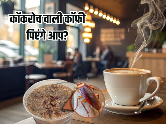Cockroach coffee video viral weird drink: क्या कभी कॉकरोच वाली कॉफी पी ...