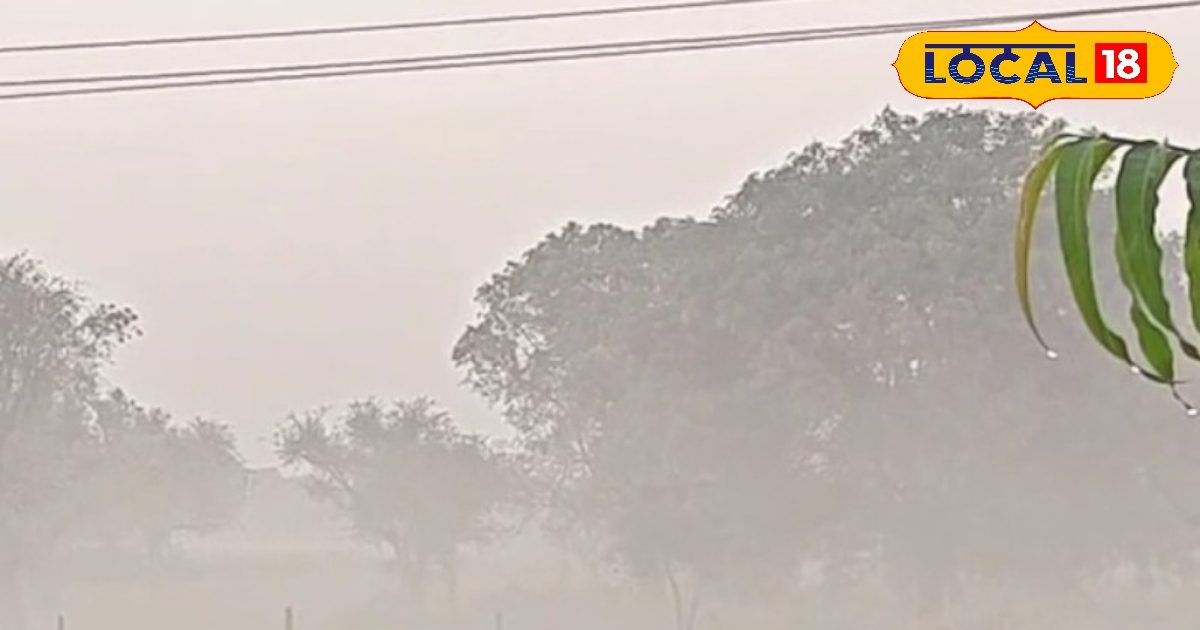 Rajasthan Weather Update | Jaipur Rain News | Jaipur Mawath Rain ...