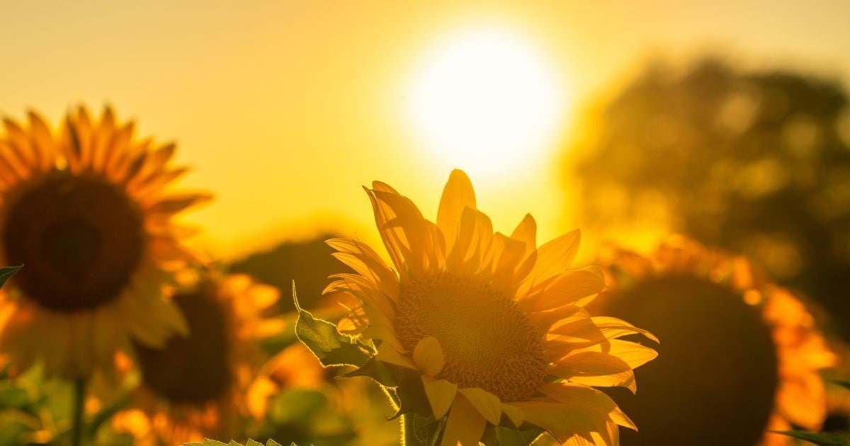 where Sun Rises First on Earth| Sunrise Secrets on Earth| This Country ...