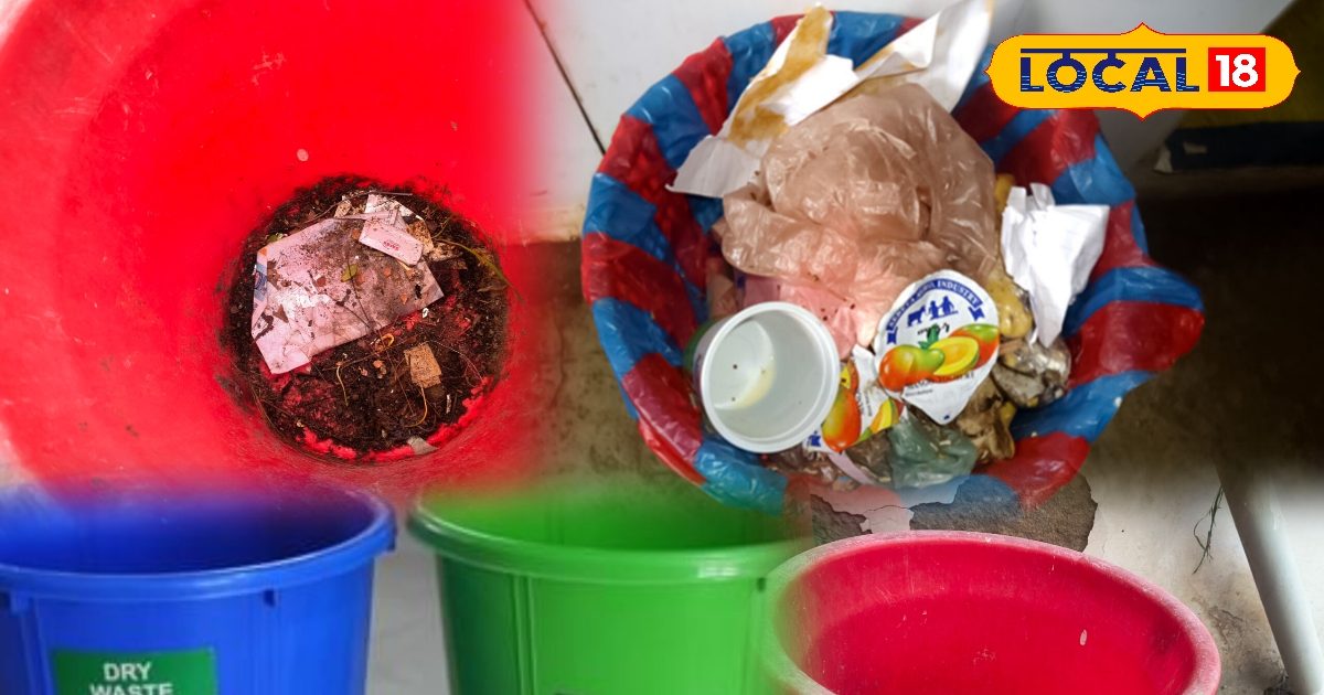 डस्टबिन सफाई कैसे करें? | Dustbin Cleaning Tips & Tricks for Home ...