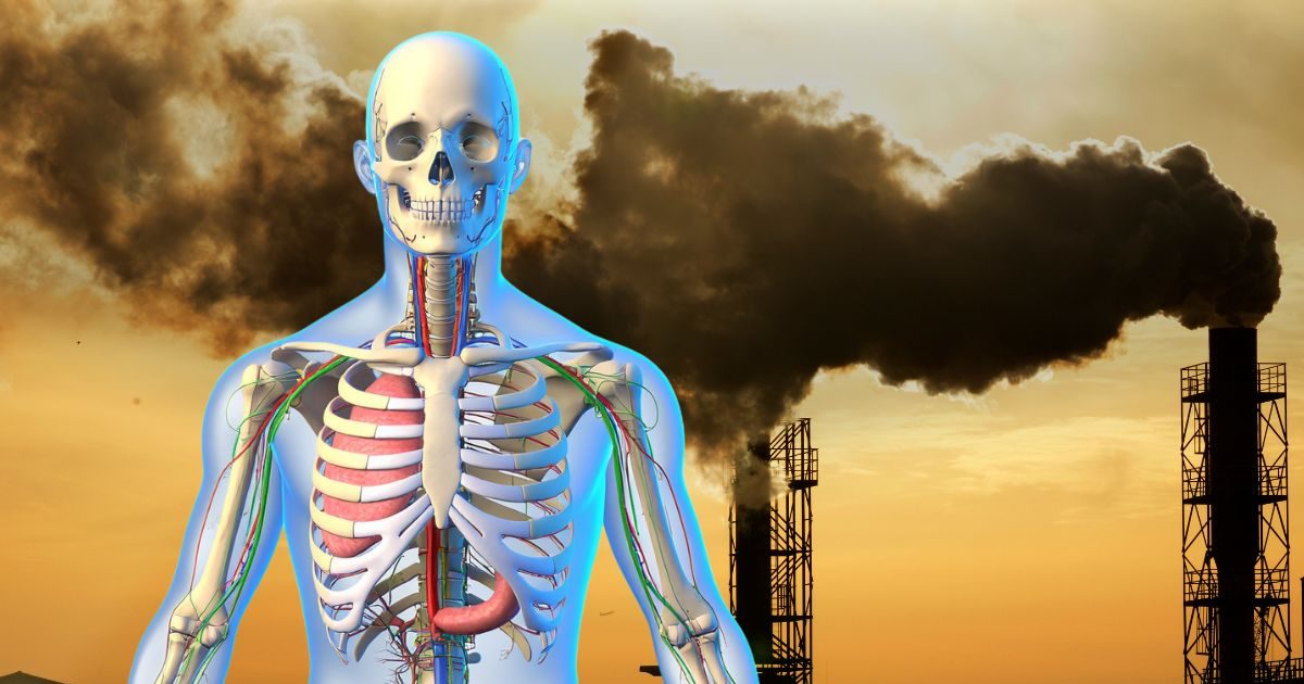 Air Pollution Risks 5 Vital Organs Most Affected by Toxic Air Exposure ...