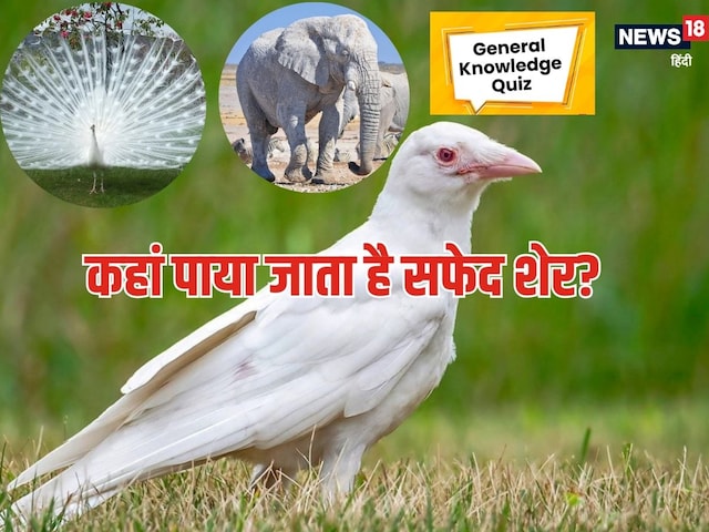 Trending gk| UPSC GK Quiz: क्‍या आपने देखा है सफेद कौवा और सफेद मोर ...