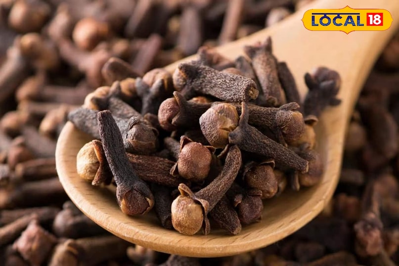 How to get rid of Tooth Worm Know Home Remedies - Himachal Pradesh News