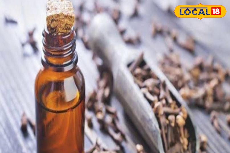 How to get rid of Tooth Worm Know Home Remedies - Himachal Pradesh News