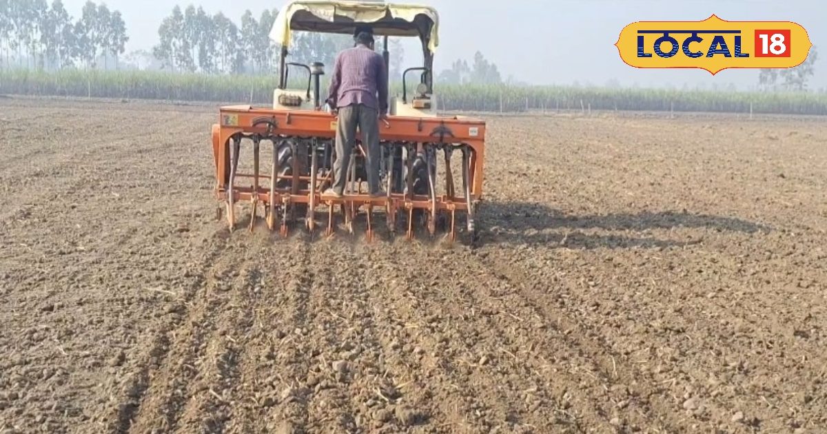 Sow wheat with this machine, seeds and fertilizers will be saved, yield ...