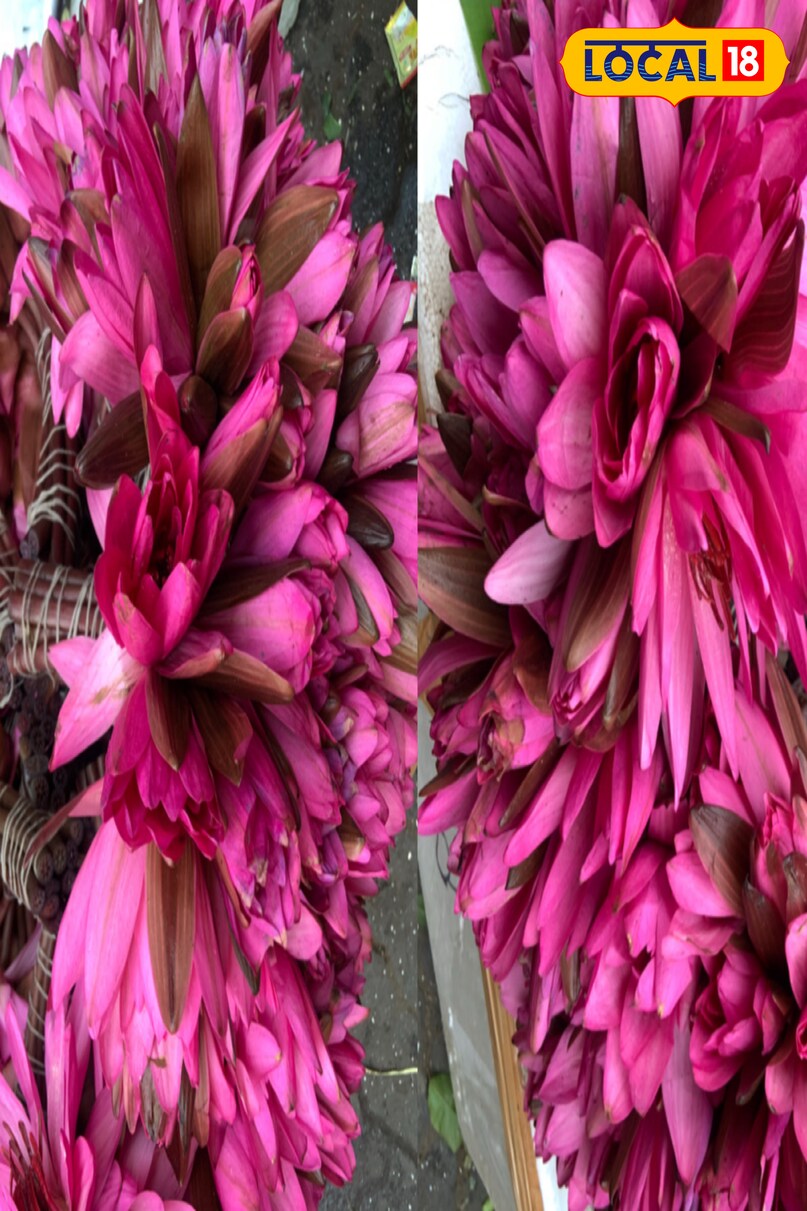 दादर फूल गली में गेंदा ₹50 किलो | Dadar Flower Market Cheapest Marigold ...