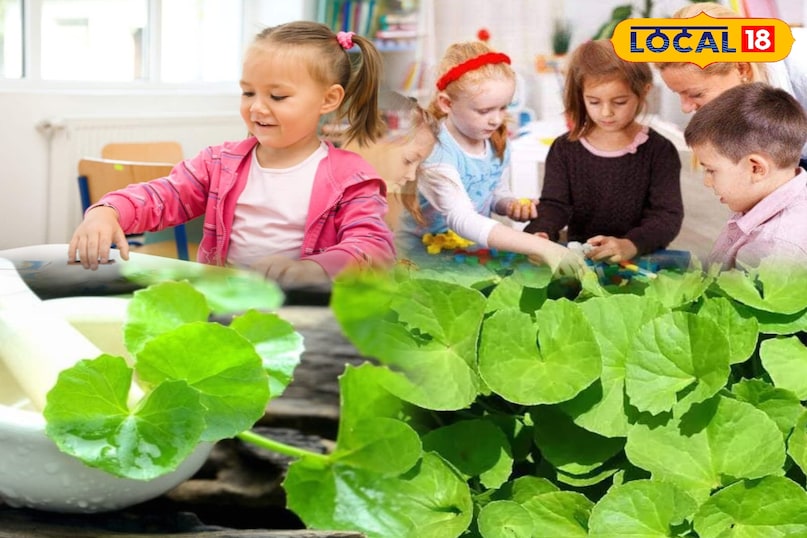 Children Memory Loss | Mobile Addiction Kids | Study Pressure Children ...