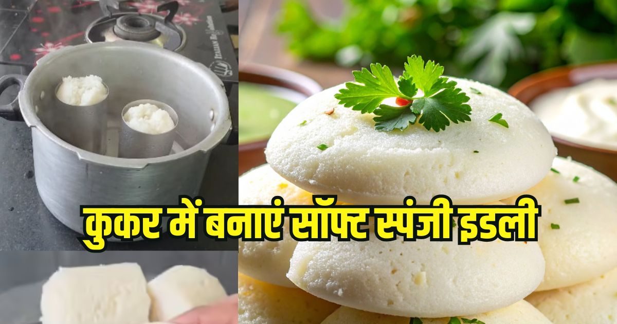 How to make Idli in pressure cooker and glass: स्टील की गिलास में एक ...