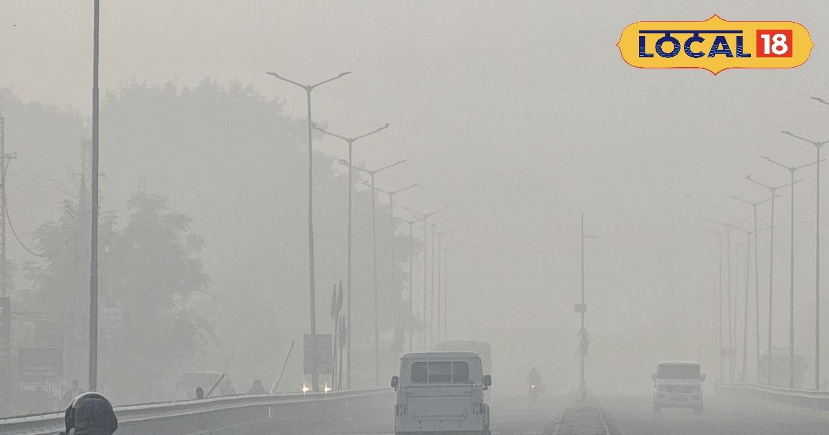 Barmer Weather: नए साल की सुबह बाड़मेर में घना कोहरा, मावठ की बारिश से ...