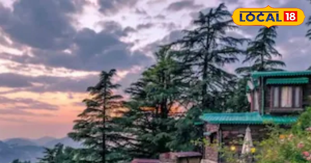 Dehradun News : मसूरी में नए साल पर टूटी बर्फबारी की उम्मीद! धूप और ...